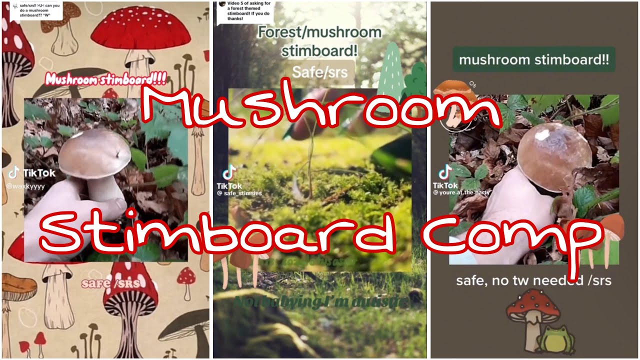 || Mushroom Stimboard Compilation || (Request by @EllaThyOne) - YouTube