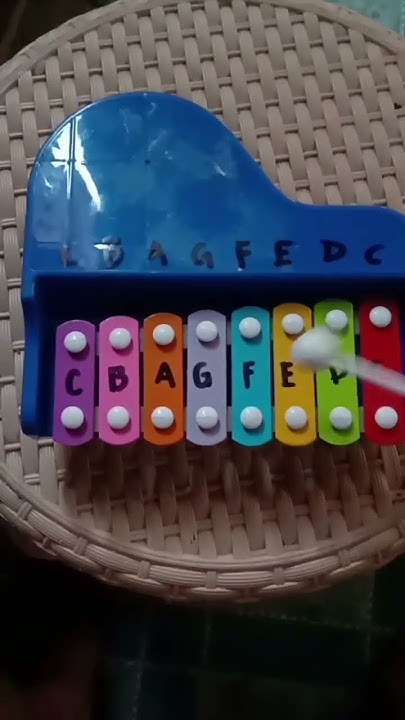 Xylophone Do Re Mi Song #xylophone #shortyoutube - YouTube