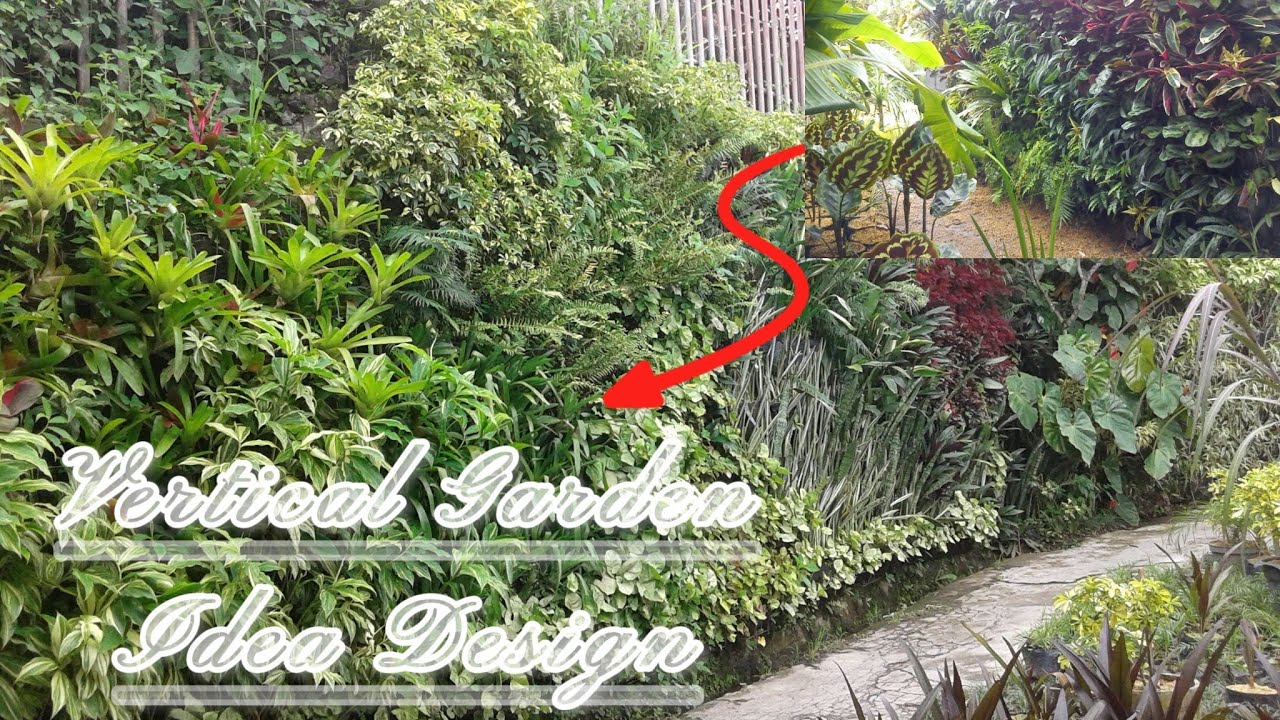 35 Best Small Design Garden Ideas plants || Exotic Plant Arrangement ...