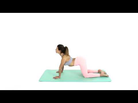 Cat Cow | Viralasana | Yoga Pose