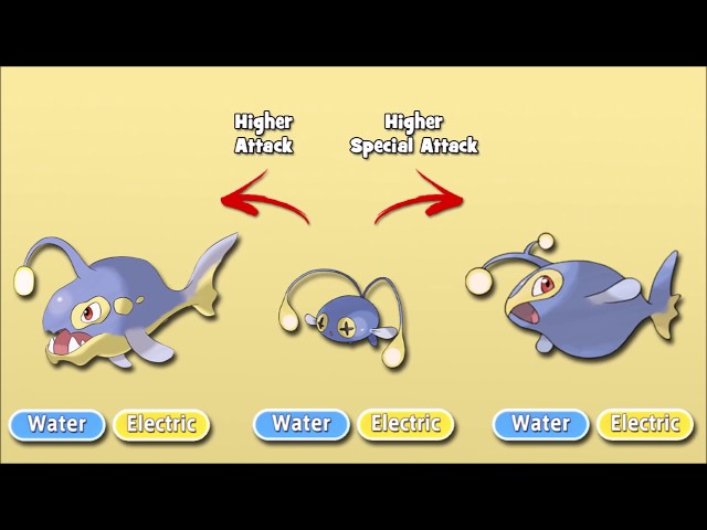 Chatot Evolution Chart