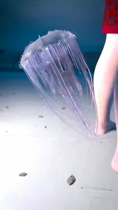 Don't get stung by jellyfish, even a song 😨 #lovelive #liella #5yncri5e ...