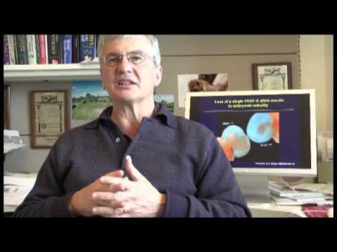 Napoleone Ferrara & team - Anti-VEGF antibodies - YouTube