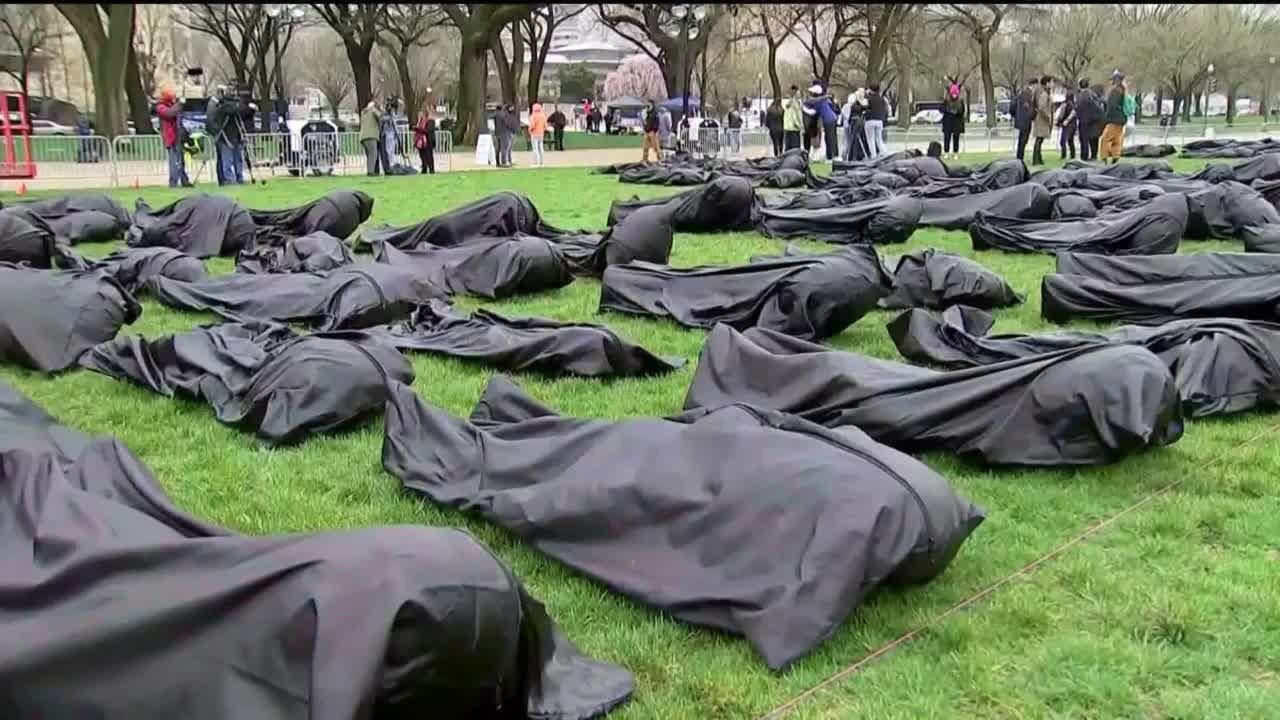 Over 1,100 body bags at the National Mall for a gun control protest ...