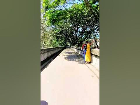 Akbar Bridge - University Of Peradeniya walking Tour 😍🌿😲 - Sri Lanka | 4K | #ASMR - YouTube