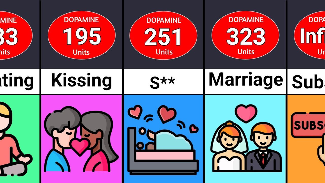 Comparison: Human Most Pleasurable Things - YouTube