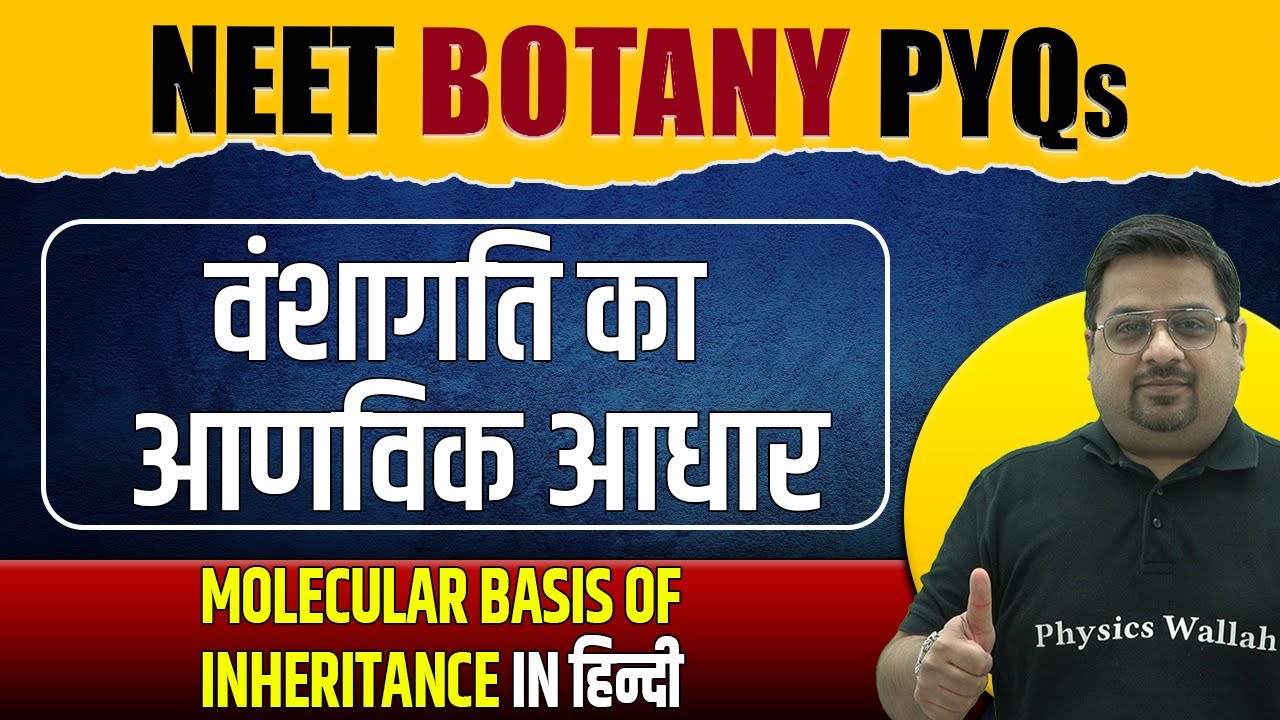 MOLECULAR BASIS OF INHERITANCE - Important PYQs | Hindi Medium | NEET ...