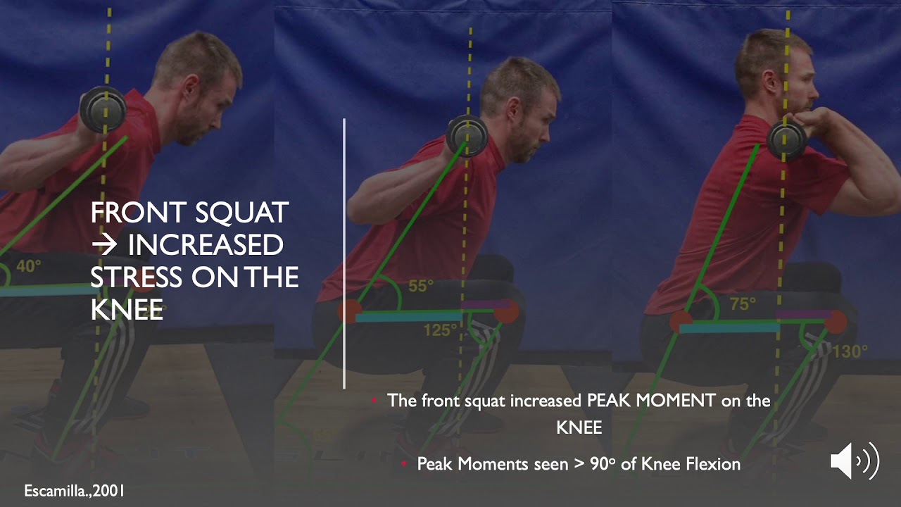 Squatting and the Knee ( Biomechanical Analysis) - YouTube