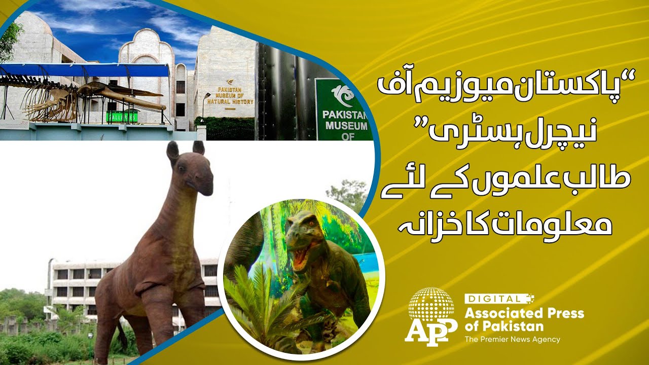 Pakistan Museum of Natural History | Educational Trip | APP Exclusive ...