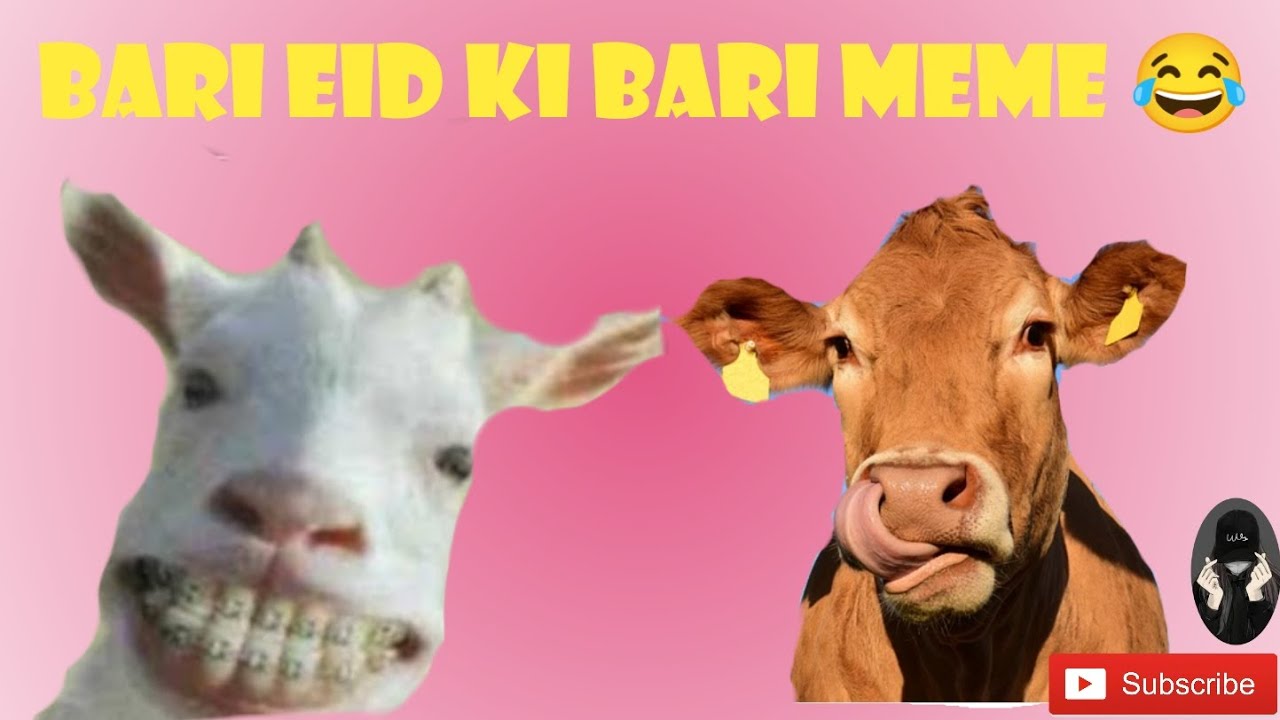 BARI EID ki Bari memes #meme #mandiscene#subscribe # eiduladha 2023 ...