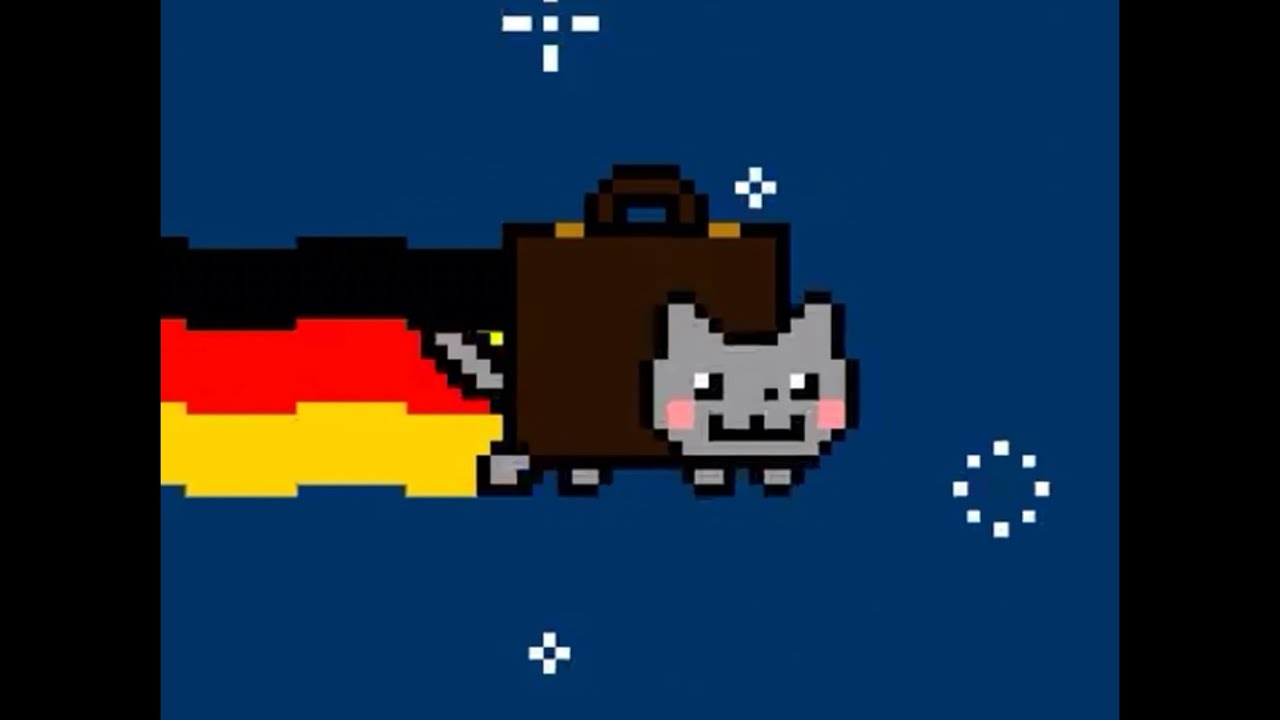 Cute Meow meow baby nyan cat in Germany - YouTube