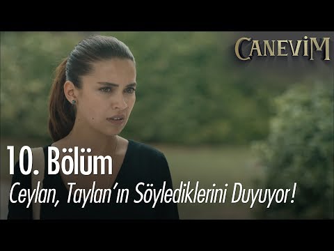 Ceylan, Taylan'ın söylediklerini duyuyor - Canevim 10. Bölüm