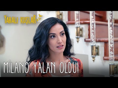 Milano Yalan Oldu! | Yaralı Kuşlar 41. Bölüm