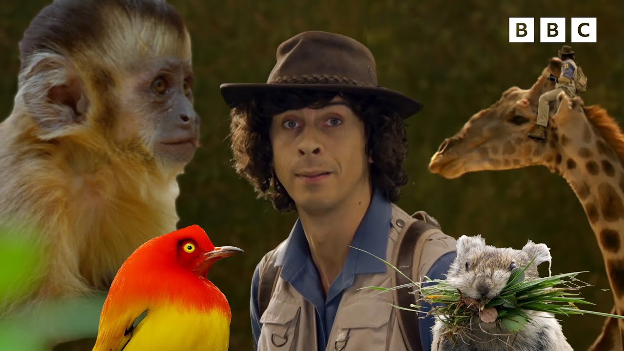 Andy's Super Safari | 40+ Minutes | Andy's Amazing Adventures - YouTube