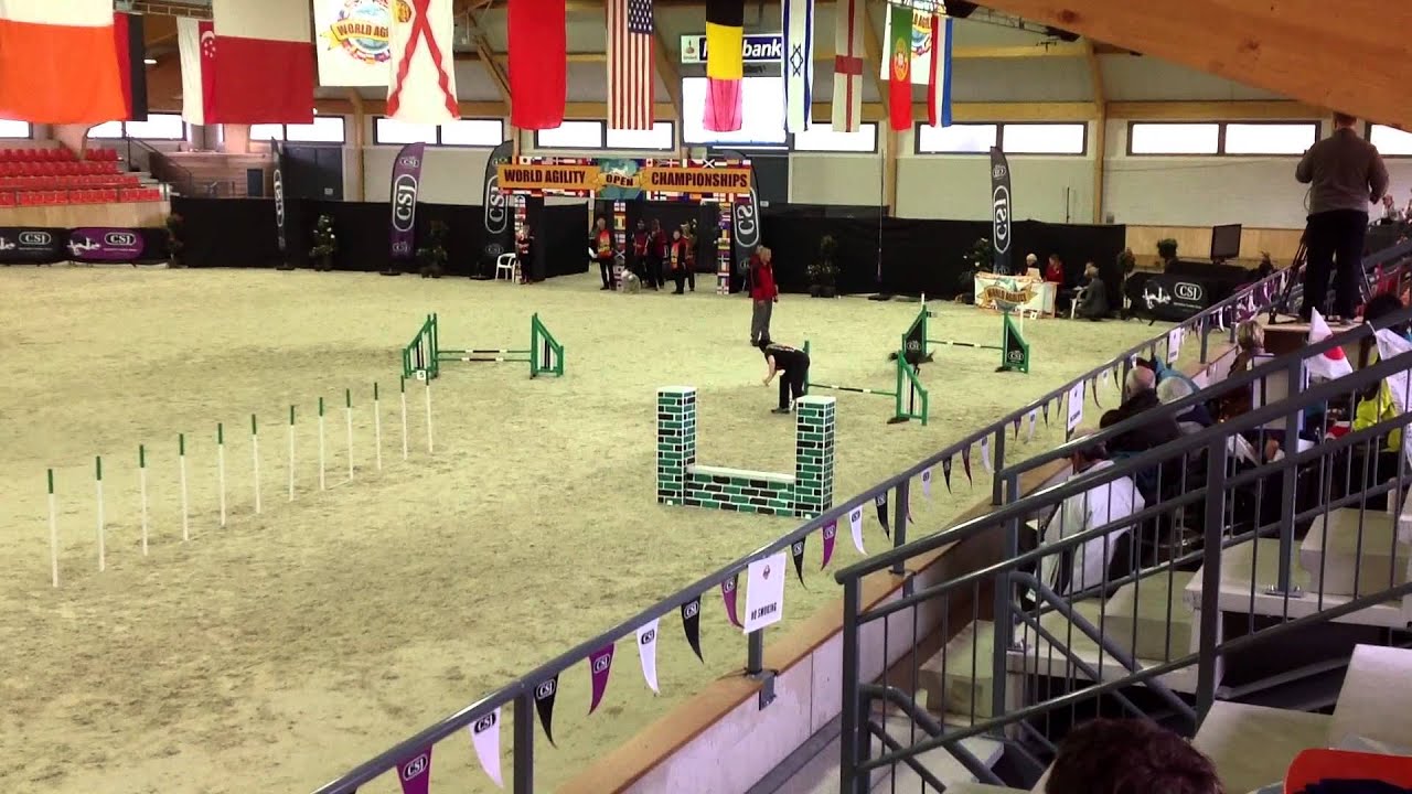 WAO 2015 Funkee Monkee & Kayl McCann - YouTube