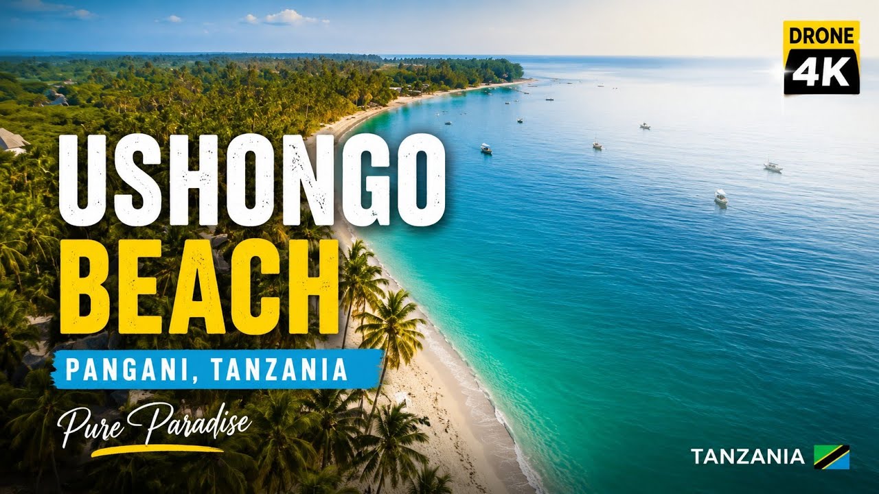 Enjoy the #Drone Video of USHONGO BEACH - Pangani Tanga by Azizi Msuya ...