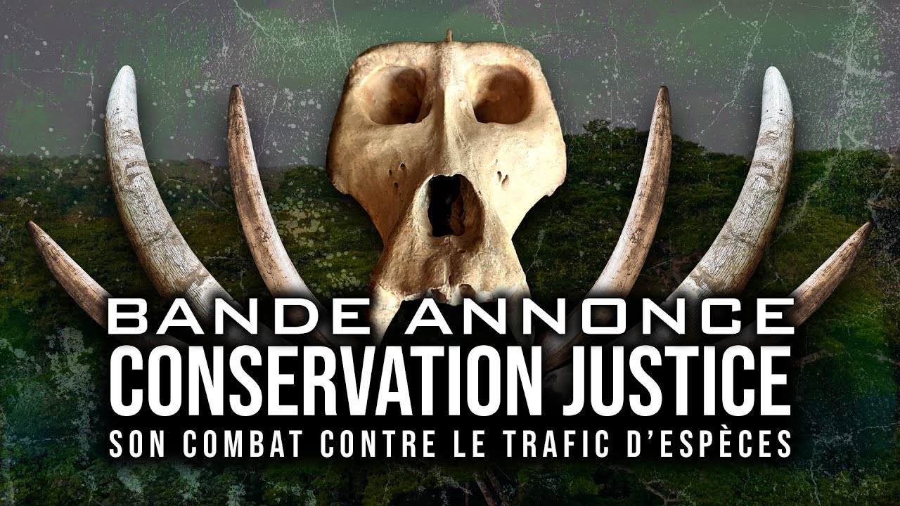 BANDE ANNONCE DOCUMENTAIRE CONSERVATION JUSTICE - YouTube