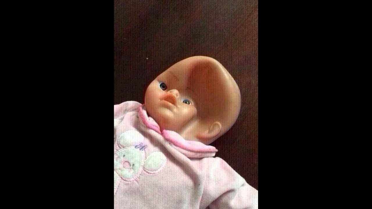 Reaccion memes de Dear David - YouTube