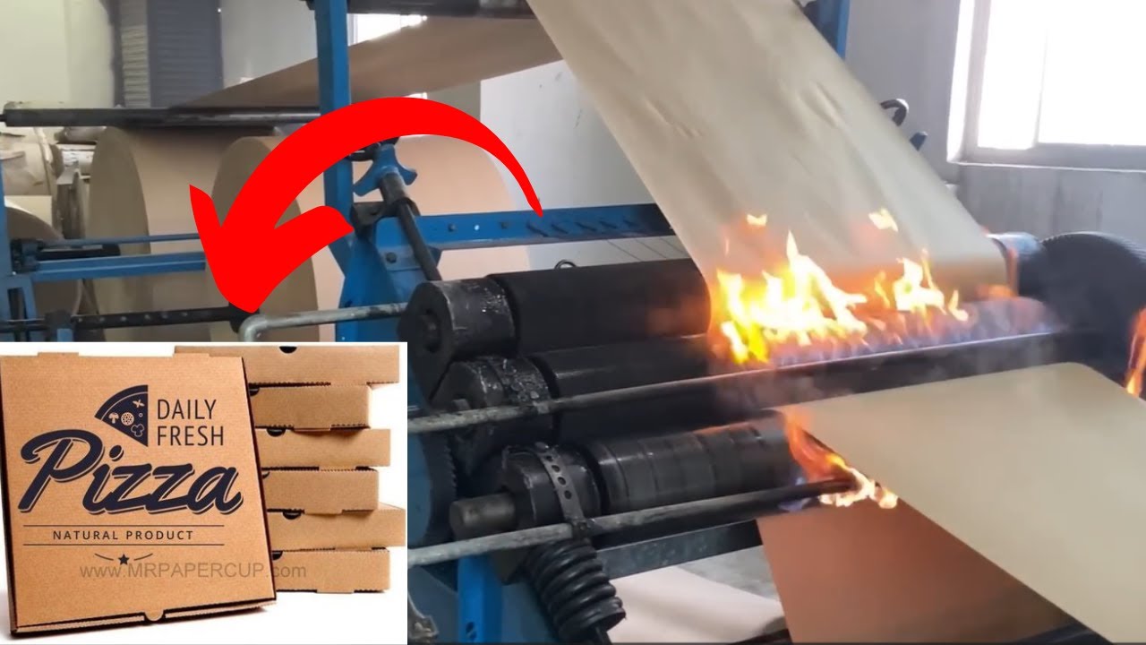 How to make PIZZA box with paper roll in factory | Amazing Production ...
