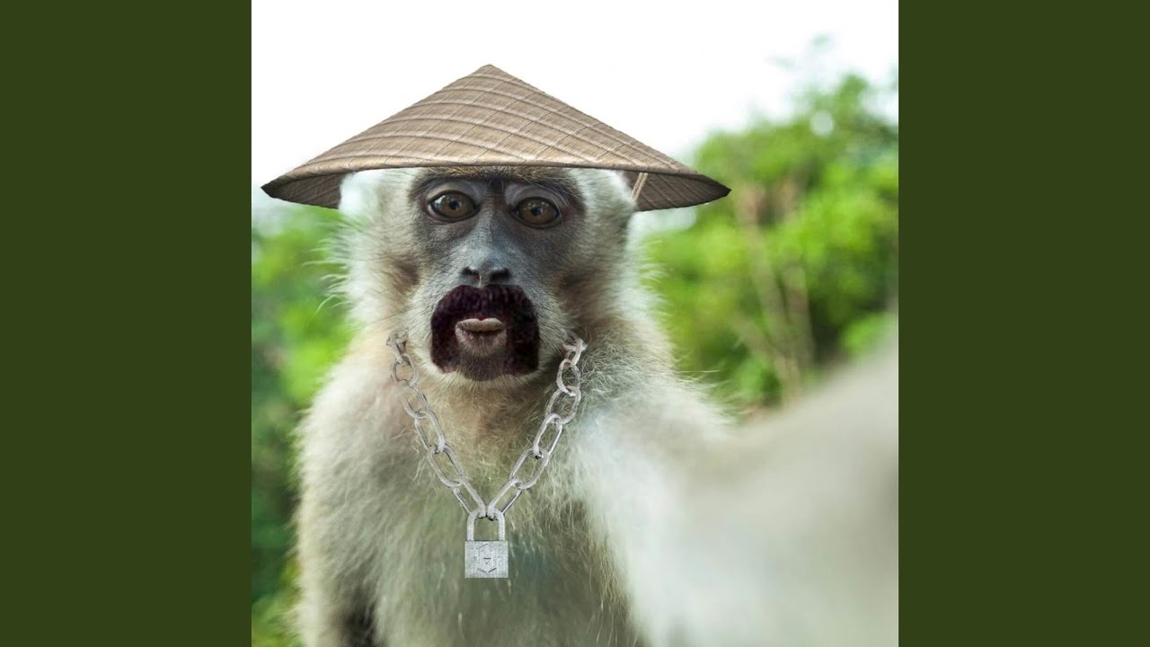 Chinese Singing Monkeys (Remix) - YouTube