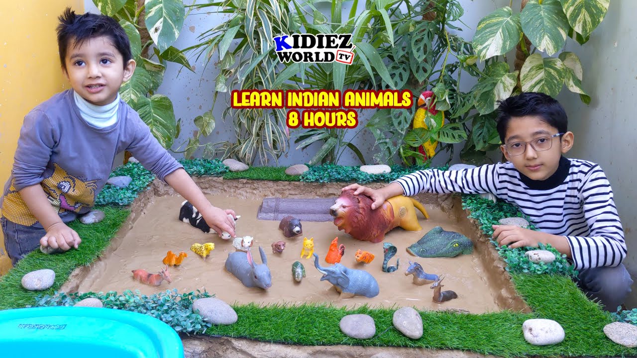 Indian Animals for Kids Live | Fun Learning Indian Wildlife with ...