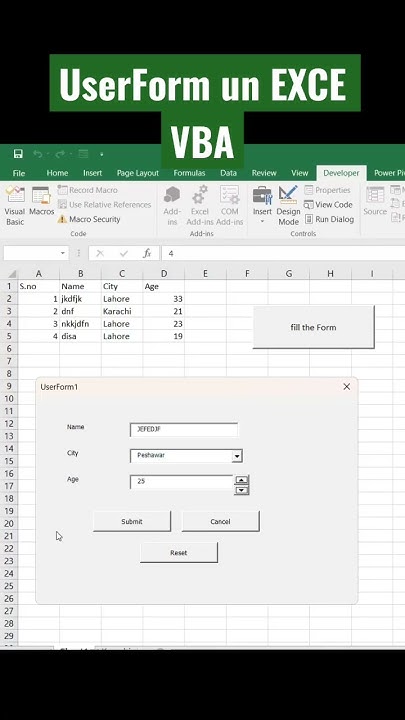 User Form In Excel Vba Youtubeshorts Ytshorts Shorts Exceltipsandtricks Codinghacks Youtube