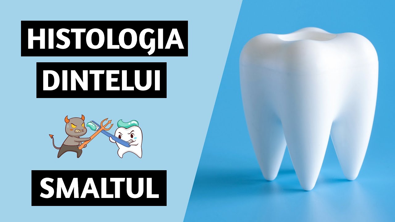 Histologia dintelui | Smalțul - YouTube