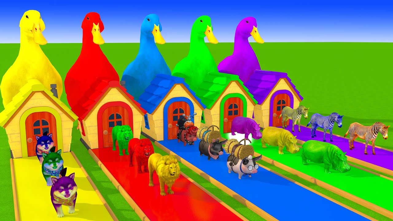5 Giant Duck | Pomni digital circus Piglet, Dog, Lion, Zebra, warthog ...
