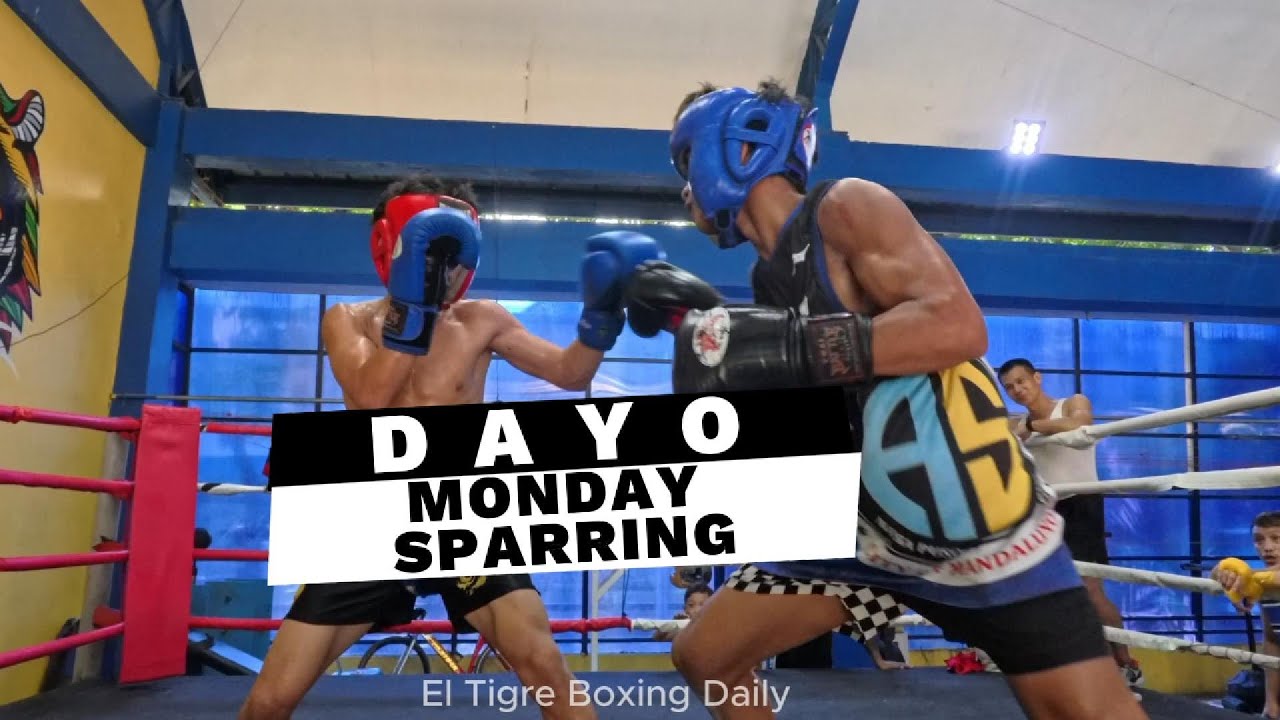 Boxers Visit for a Sparring Session with El Tigre Boxers - YouTube