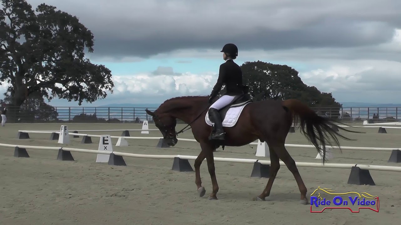 409D Julie Diekmann on West of the Wind SR Beginner Novice Rider ...