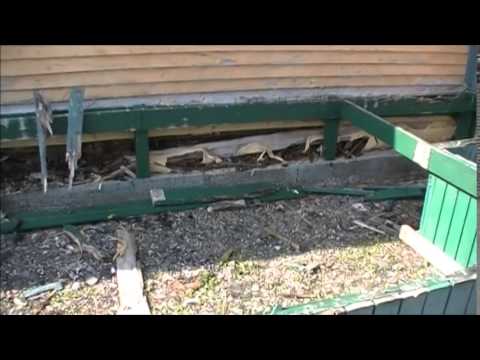 Exploring the Newfoundland railway Episode #93 Avondale Update