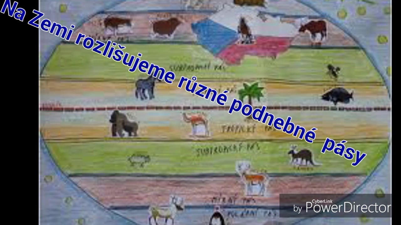 Podnebné pásy - YouTube
