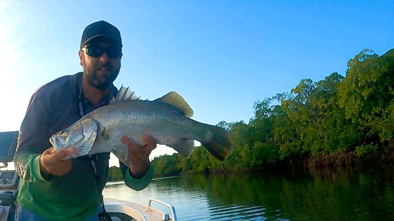 Little Barra turns into bigger Barra on same cast - YouTube