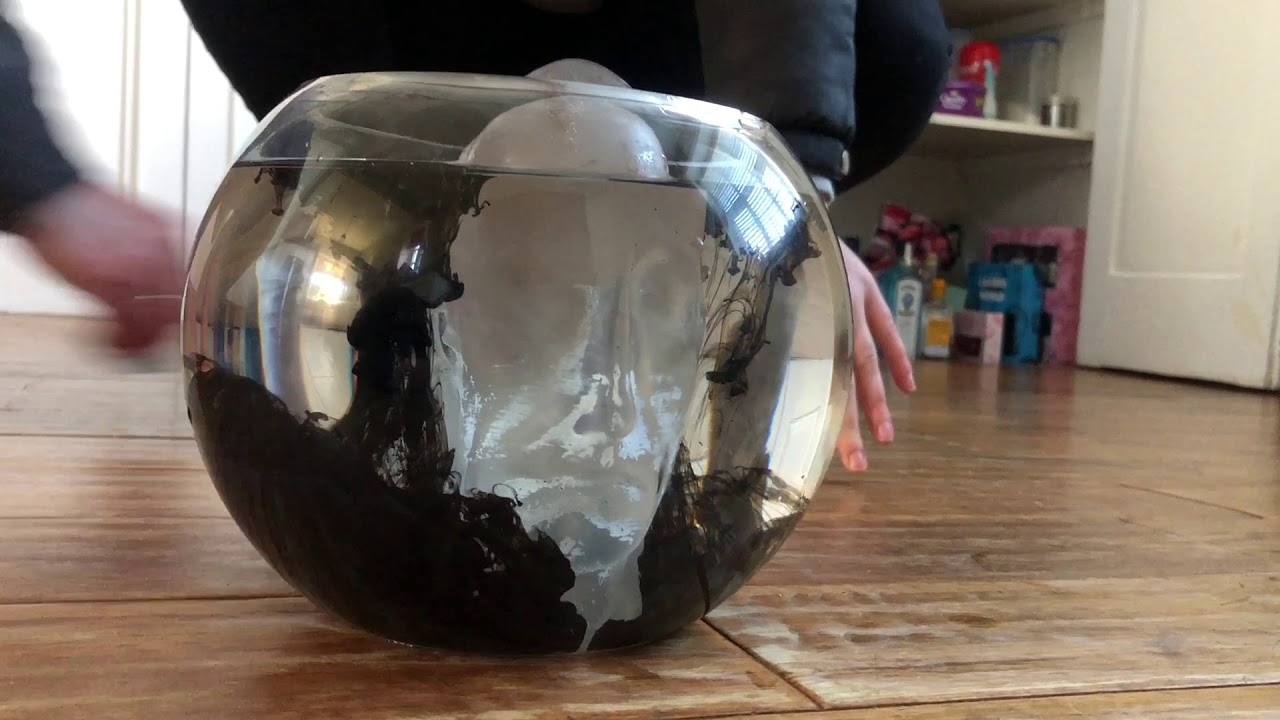 Isolation Film Ramsay Callum - YouTube