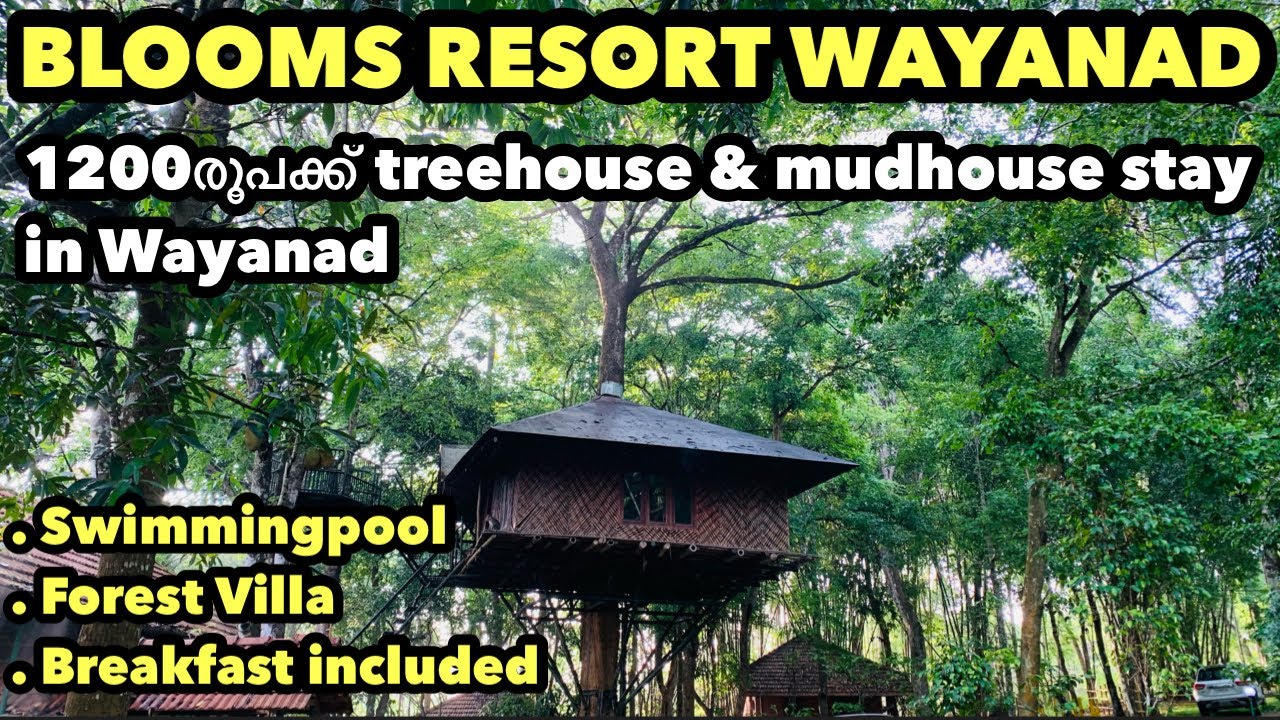 BLOOMS RESORT WAYANAD | FOREST STAY RESORT IN WAYANAD | TREEHOUSE ...