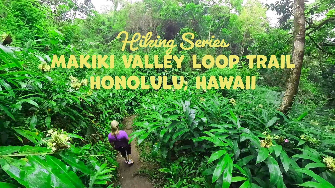 HIKING SERIES: Makiki Valley Loop Trail (Honolulu, Hawaii) | 4K ...