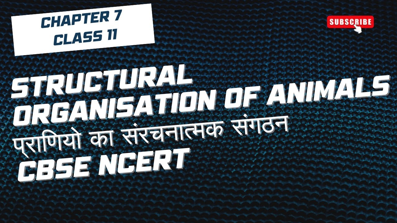 Structural Organisation in Animals Chapter 7 part 2 Class 11 CBSE NCERT ...
