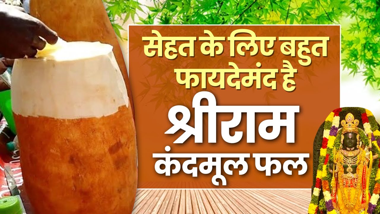 राम कंदमूल I Benefits of Kand Mool I Shriram Kand Mool I Healthy ...