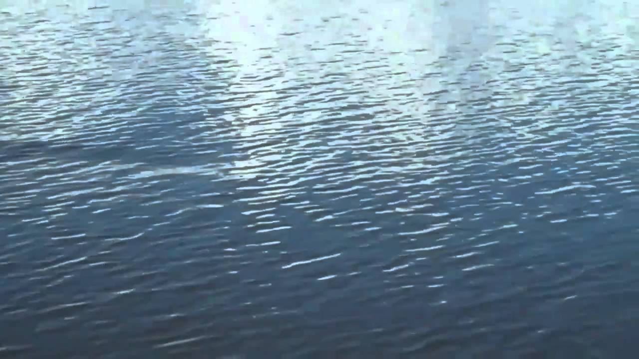 Topwater Redfish Action in Calcasieu Lake - YouTube