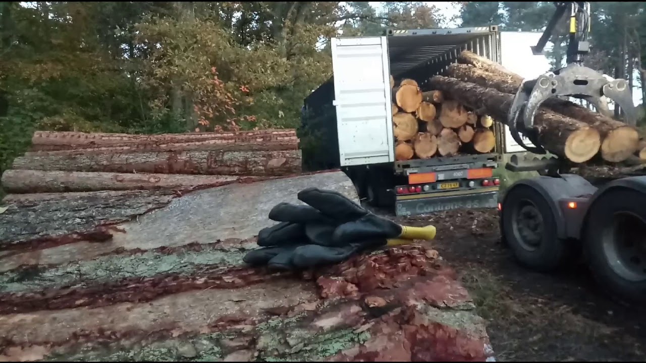 Awesome loading of logs in the container. 🚚🚚🚛🚚😎. - YouTube