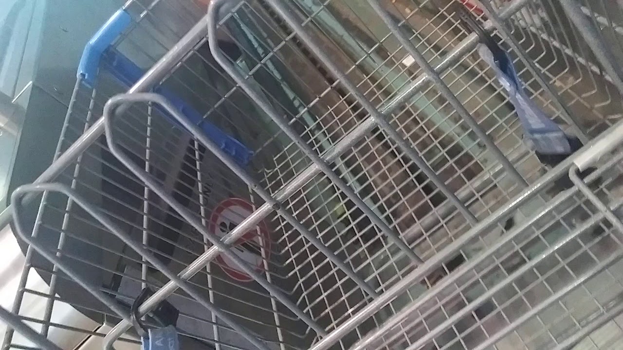 Pflow Cartveyor Cart Escalator (2) @ Walmart - Monona, WI - YouTube