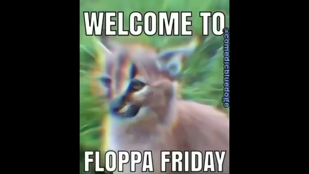 Happy Floppa Friday! - YouTube