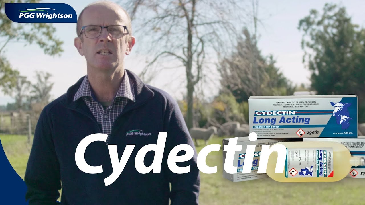 Cydectin Long Acting Injections | PGG Wrightson Tech Tips - YouTube