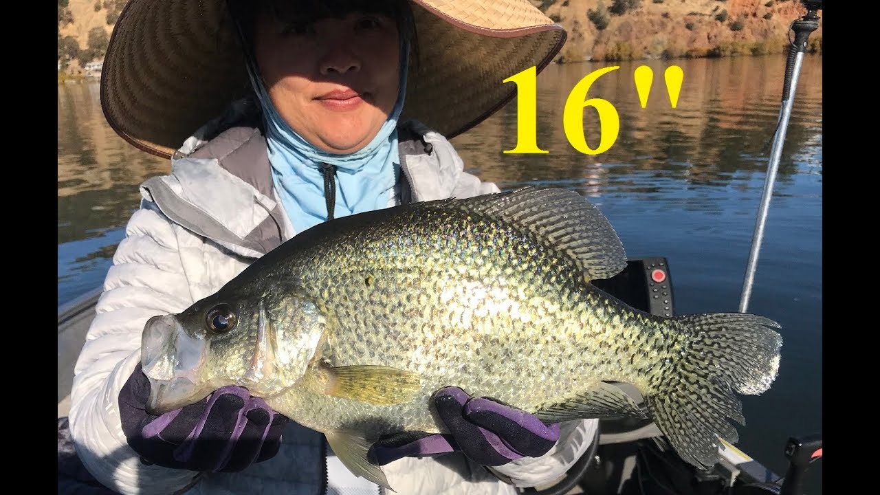 Catching Huge Crappie Slabs After Slab - YouTube