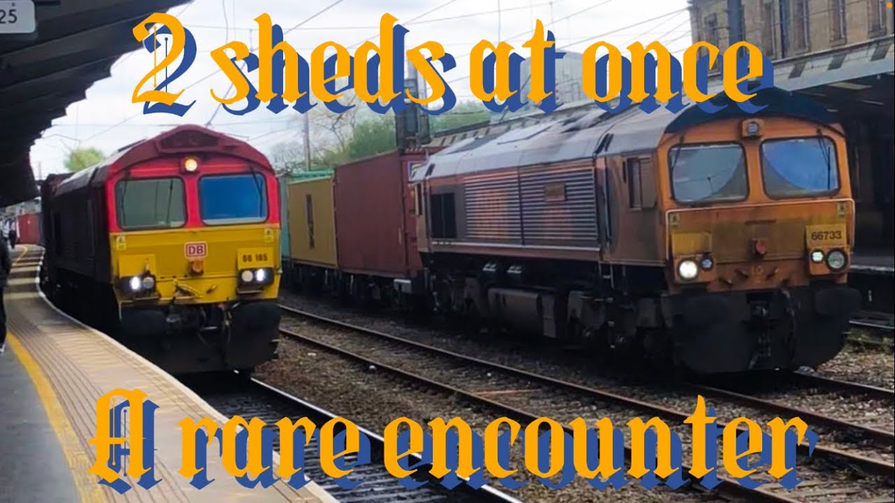 A very rare encounter!!! 2 Class 66 Sheds arriving at once on Preston ...