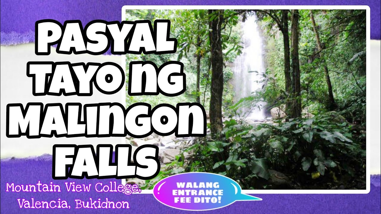 Pasyal at Ligo Tayo sa Malingon Falls ||Mountain View College, Valencia ...