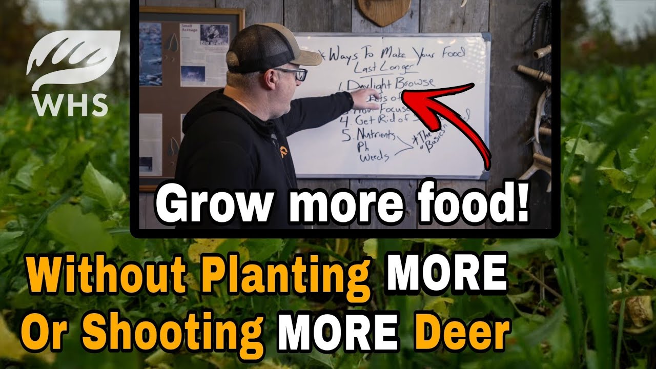 5 Ways To Make Food Plots Last Longer - YouTube