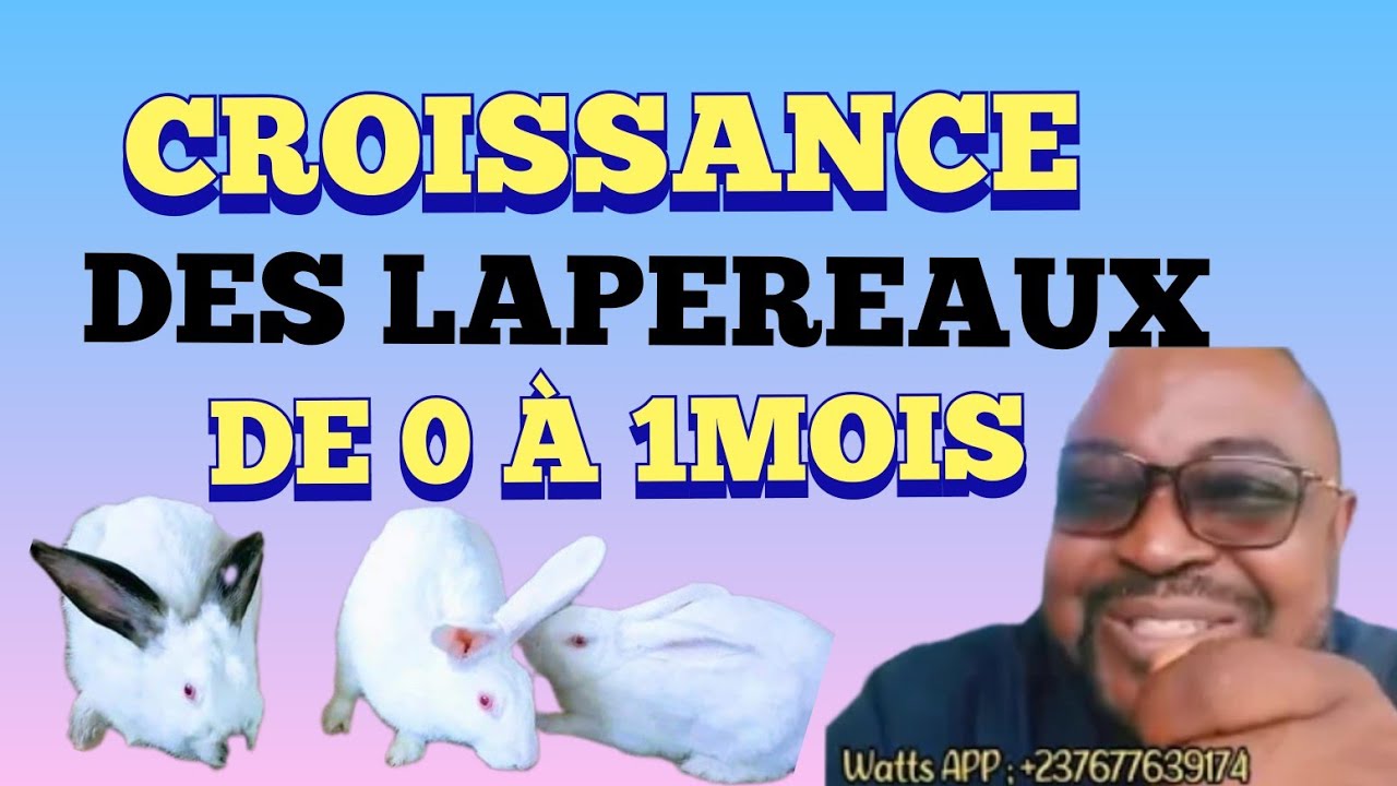 CROISSANCE DES LAPEREAUX DE 0 À 1MOIS; DE LA NAISSANCE AU SEVRAGE ...