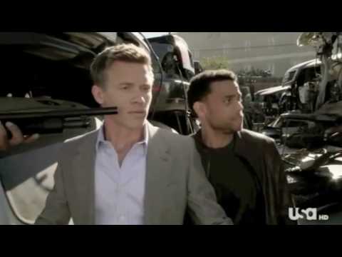 COMMON LAW #101 scene