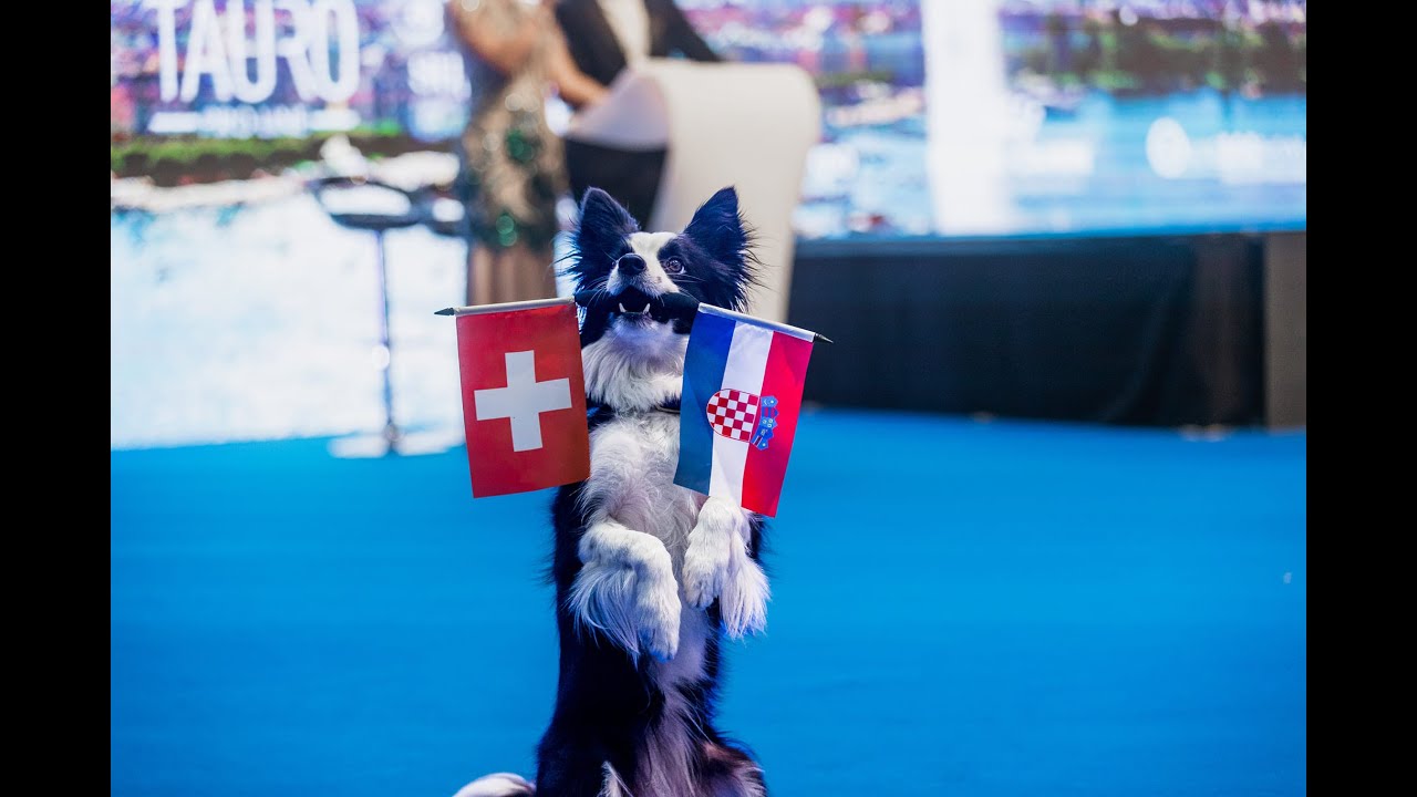 WDS handover of the FCI flag to Croatia - YouTube